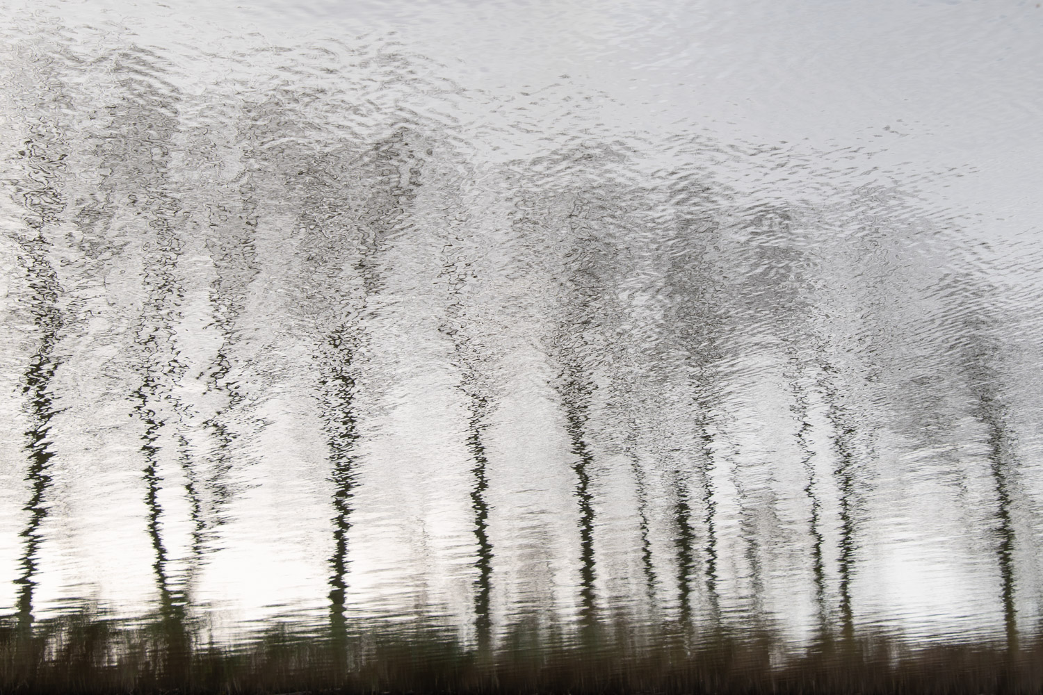 Ons portfolio – Fotoclub Fotomorgana